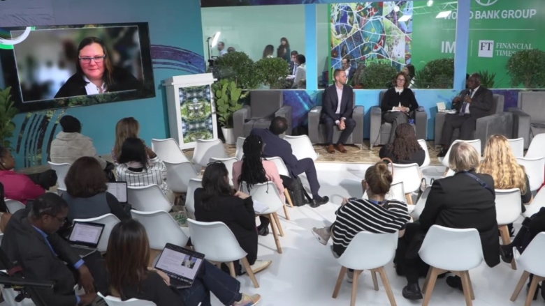 COP29: Accountability for a successful just transition